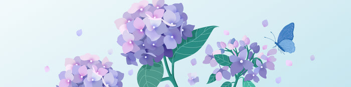 BABYBEI ALL COLLECTIONS