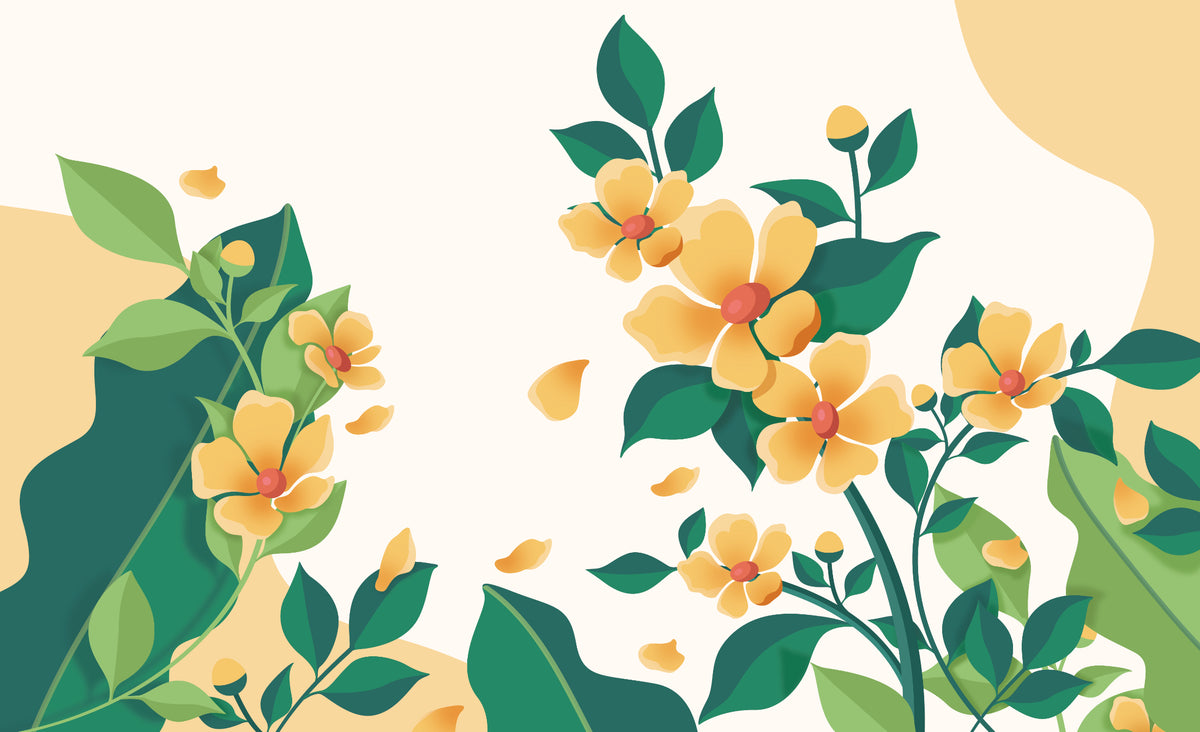 BABYBEI PETAL Collection